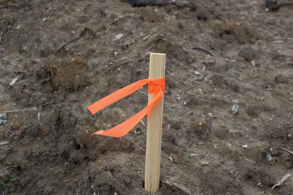 Solid Color Roll Flagging