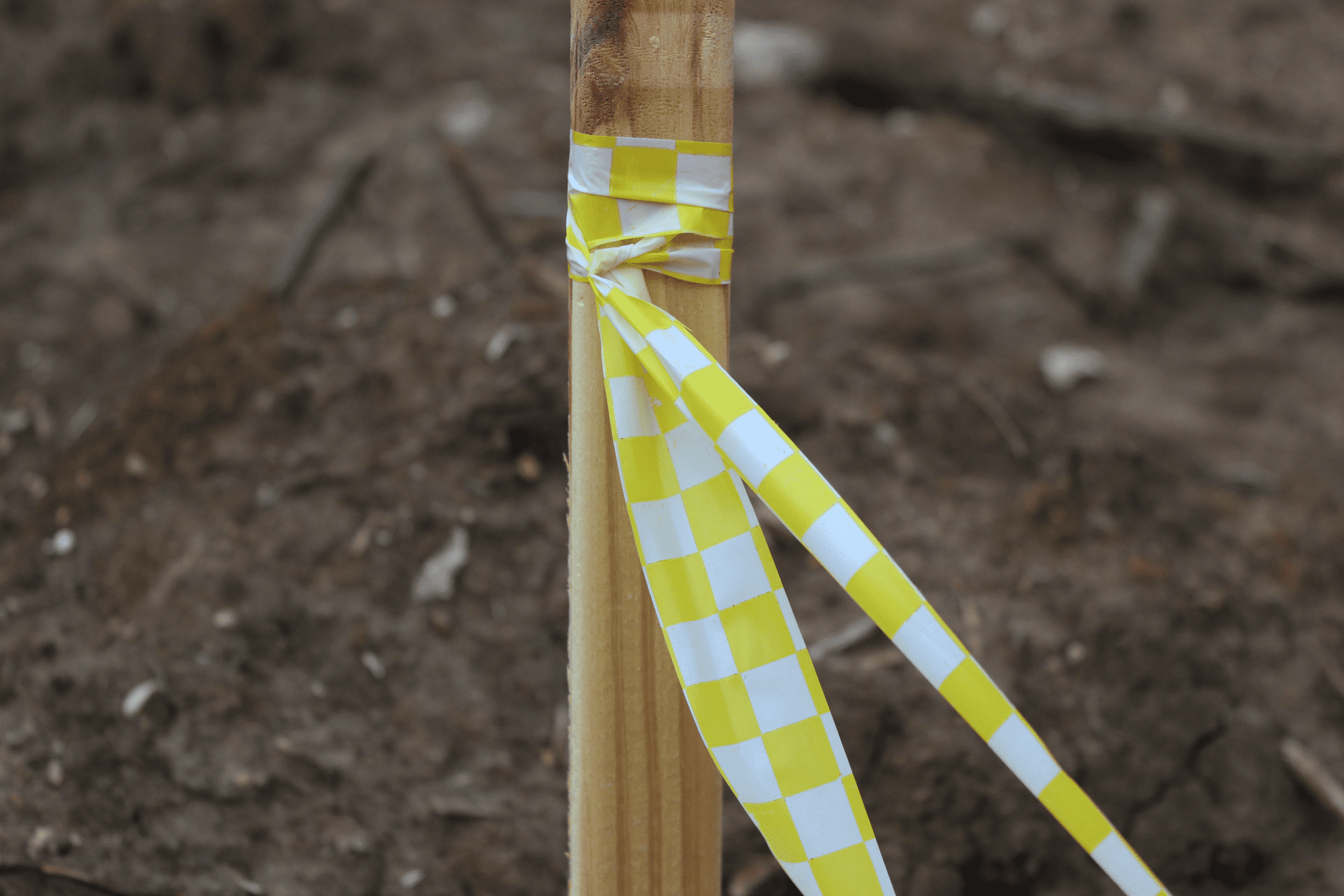 Patterned Roll Flagging