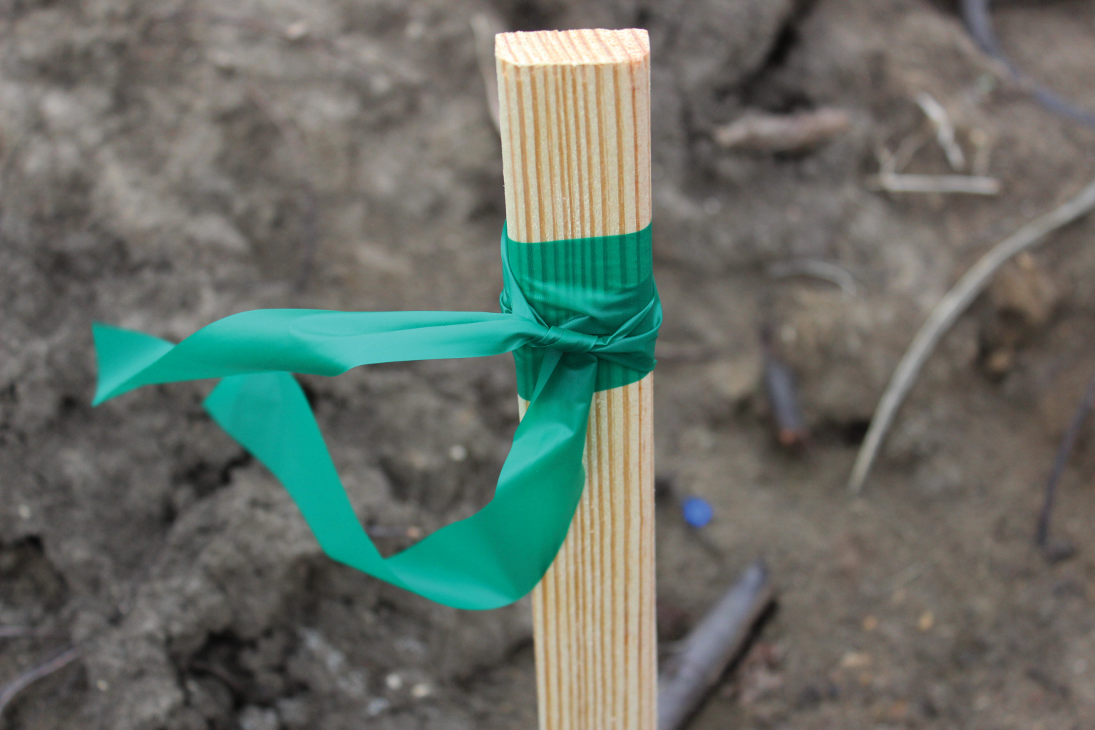 Solid Color Roll Flagging