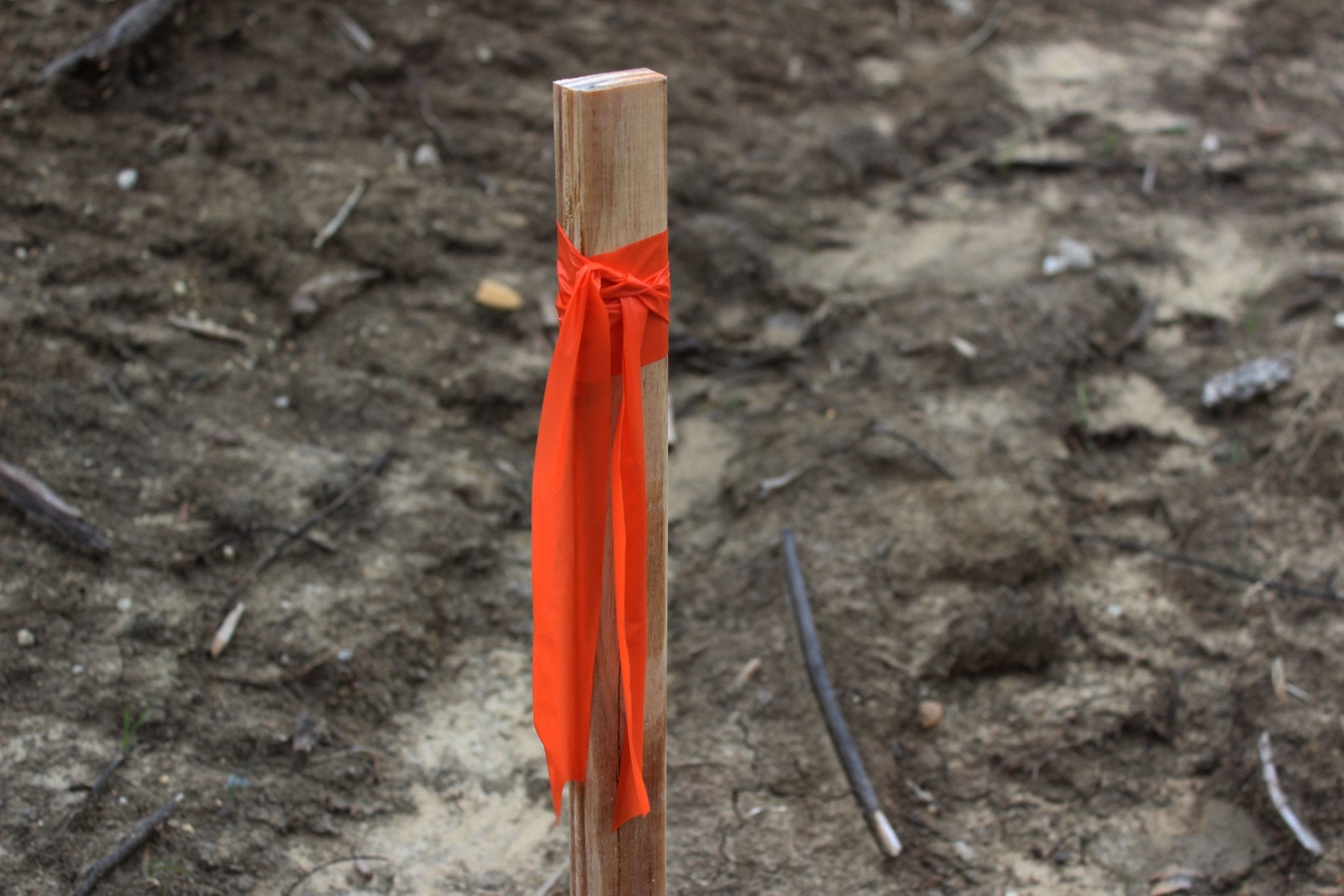 Solid Color Roll Flagging