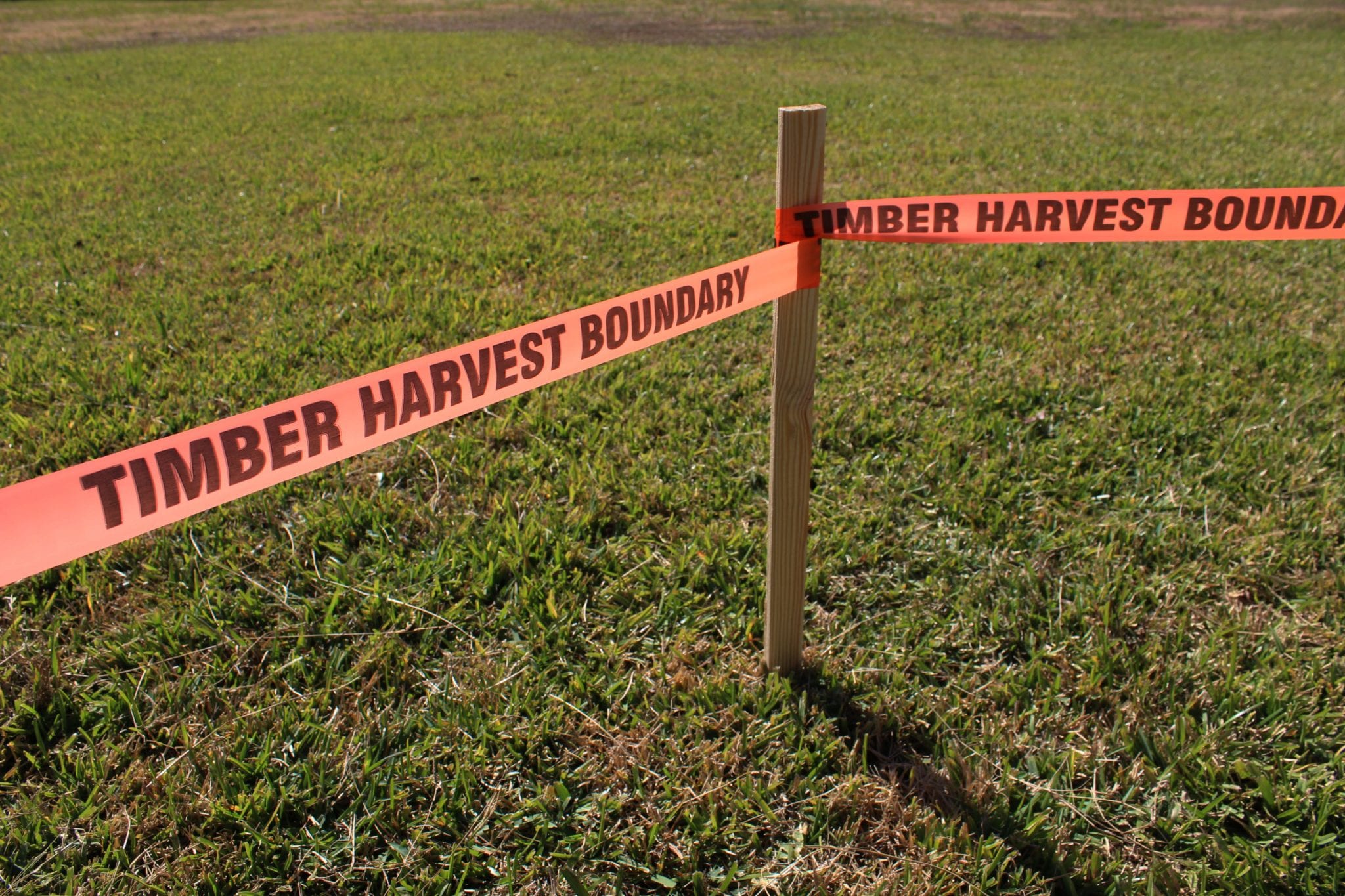 Printed Roll Flagging