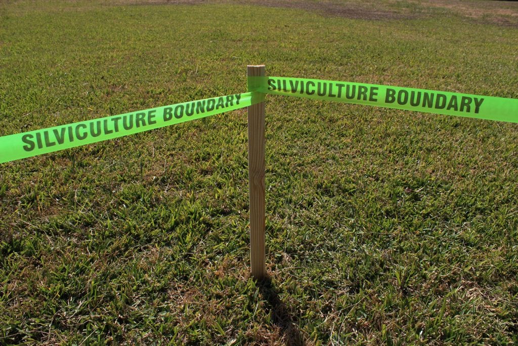 Printed Roll Flagging