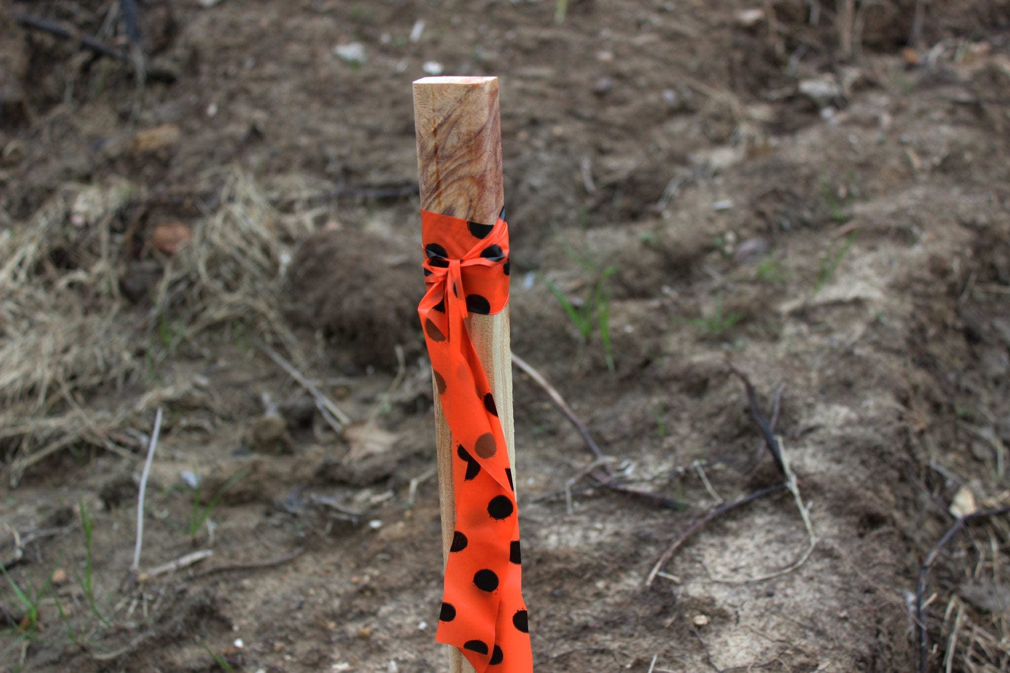Patterned Roll Flagging