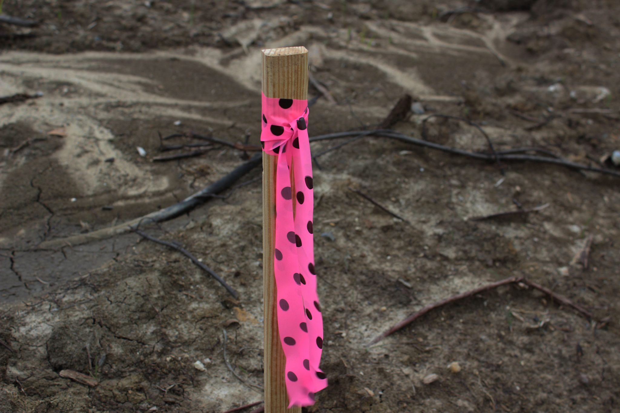 Patterned Roll Flagging