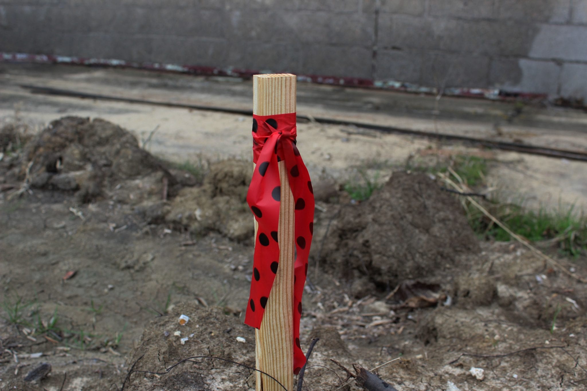 Patterned Roll Flagging