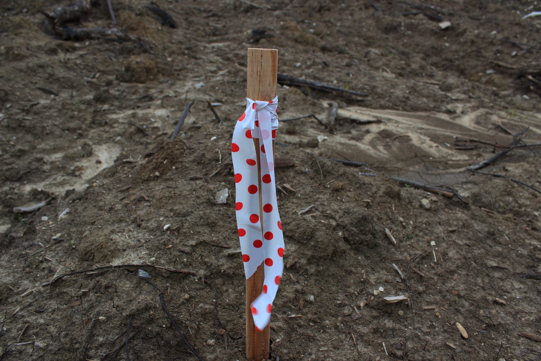 Patterned Roll Flagging
