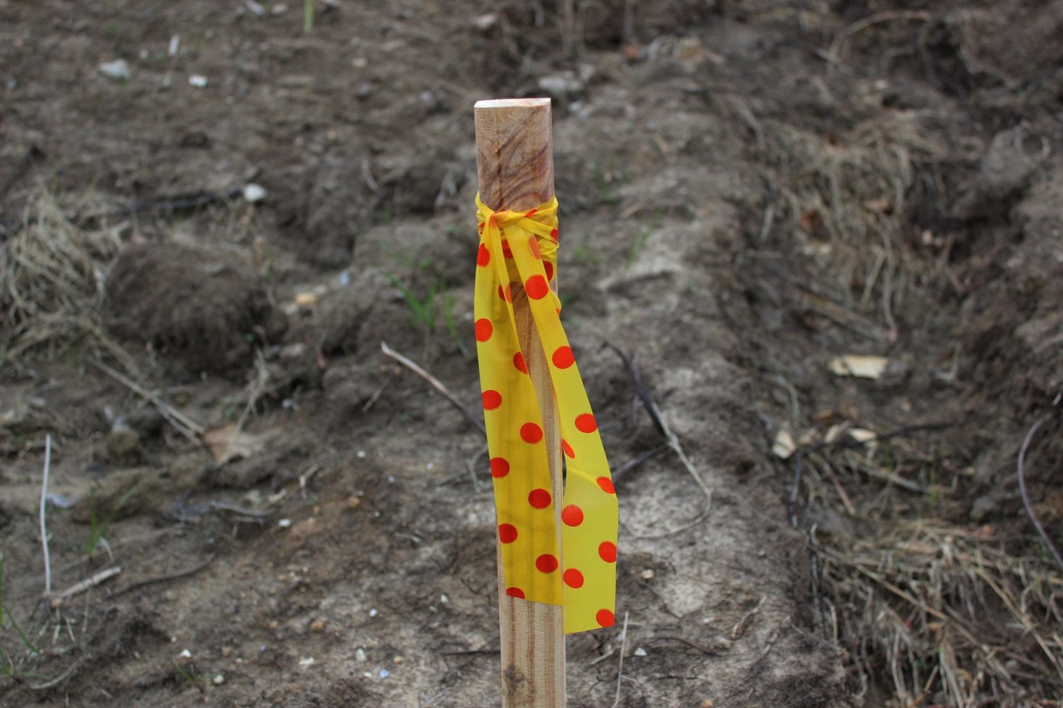 Patterned Roll Flagging