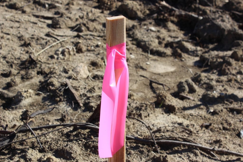 Solid Color Roll Flagging