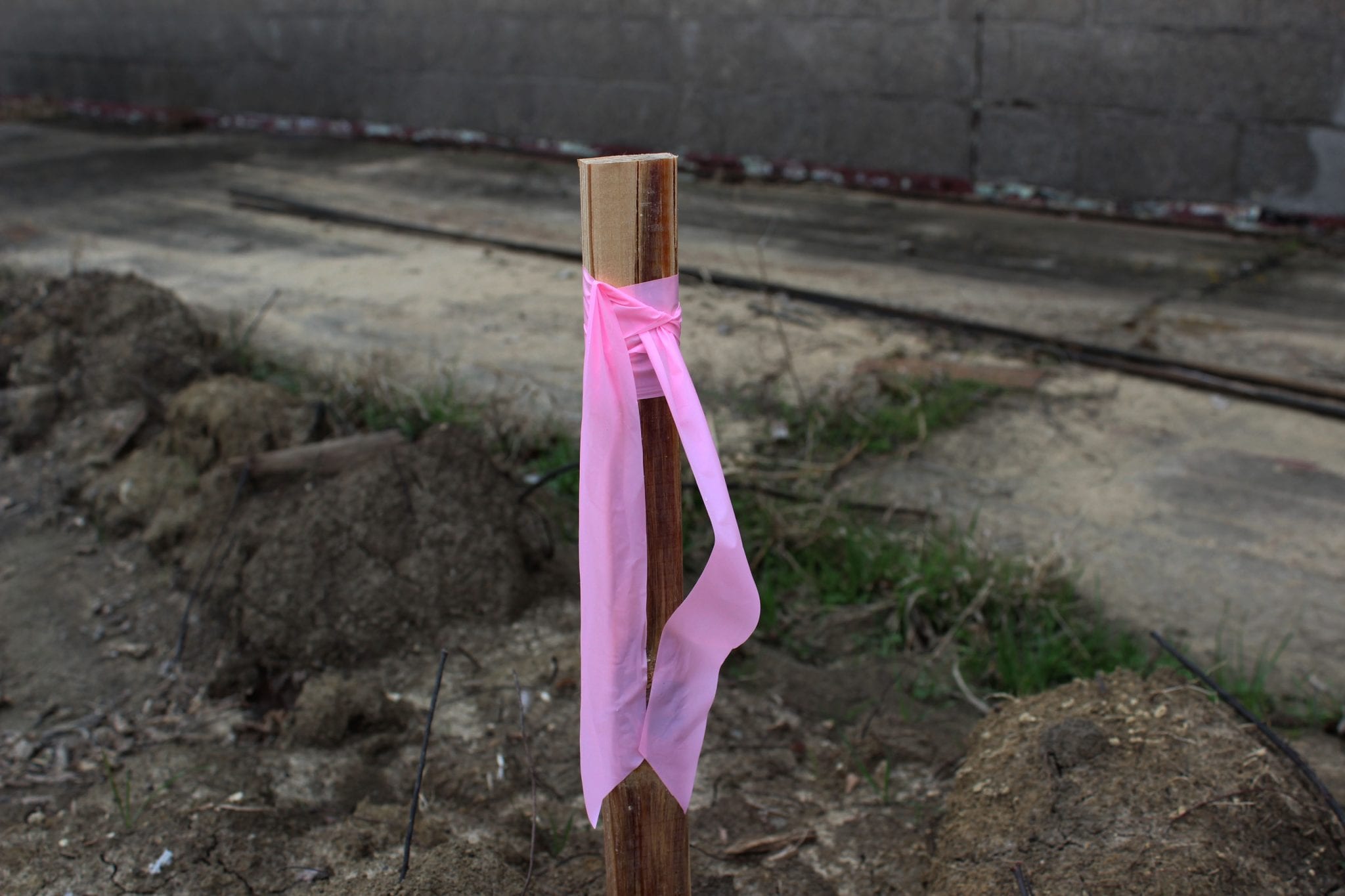 Solid Color Roll Flagging